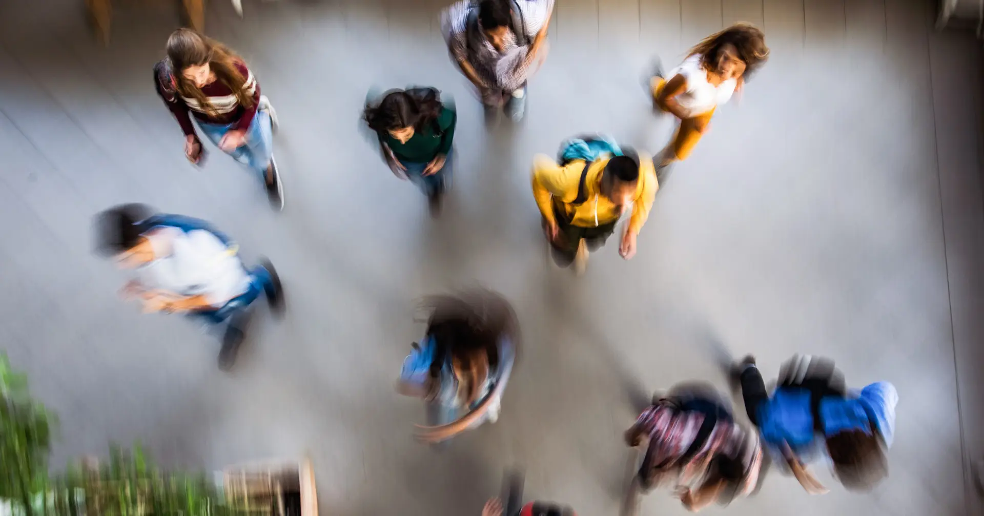 Some Charter Schools Use Their Flexibility to Serve Students With ...